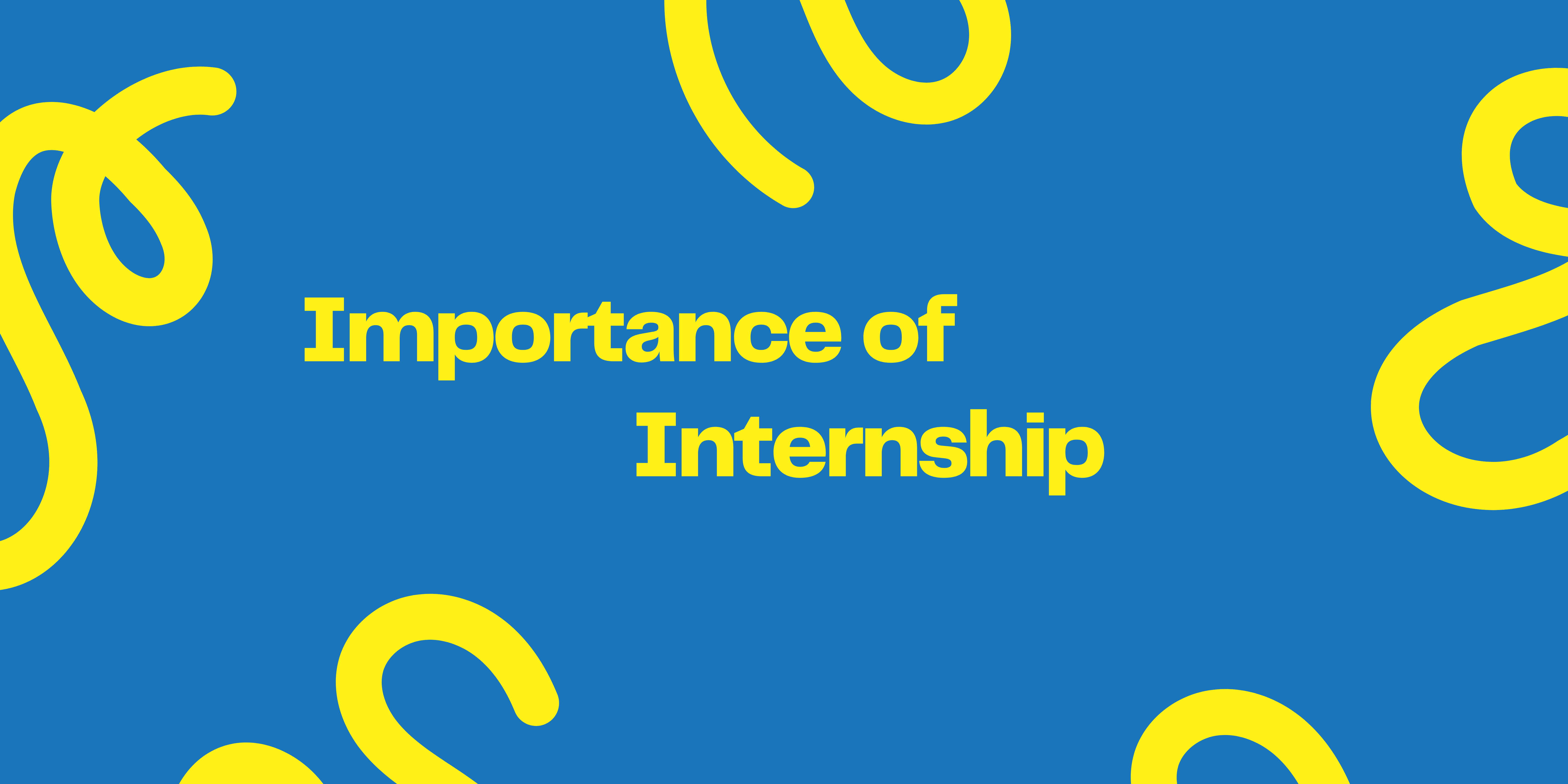 The Importance of Internship: Launching Your Career